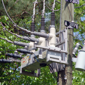 Lo que necesitan saber sobre el restaurador - Asesores en Alta Tecnología