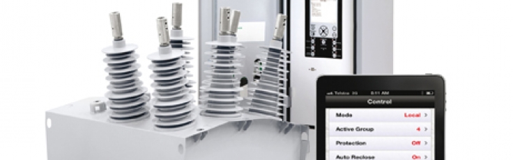 Características de los restauradores para ser aprobados por la CFE ...