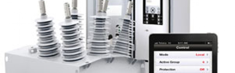 Qué son los restauradores y cuál es su función - Asesores en Alta ...