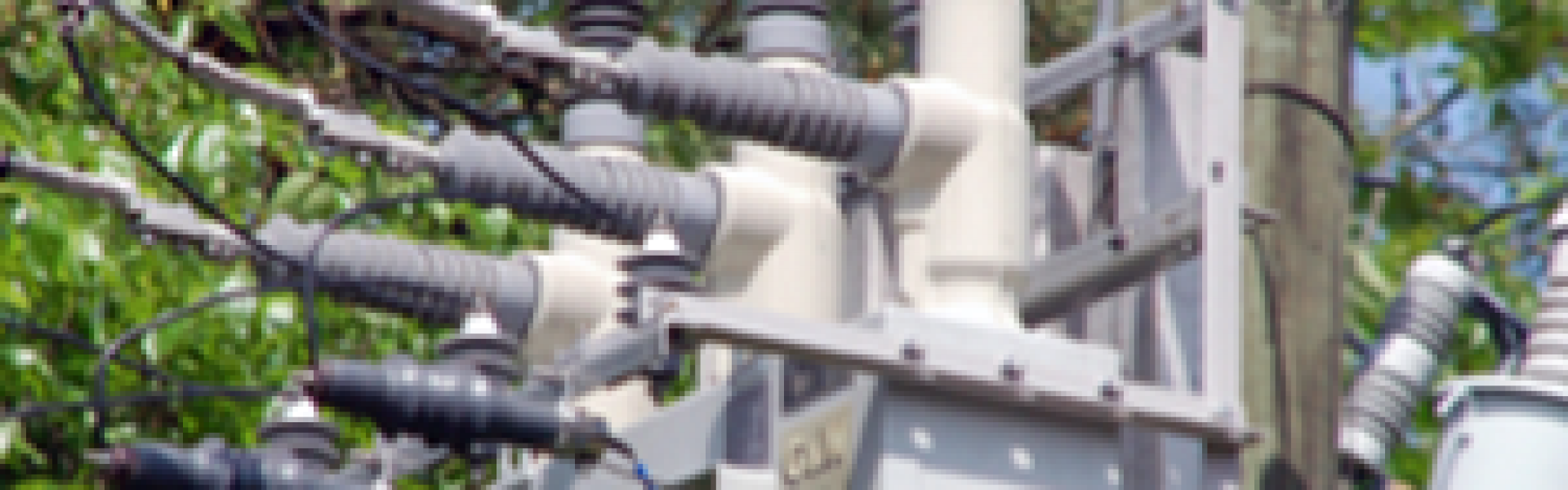 Lo que necesitan saber sobre el restaurador - Seccionadores ...